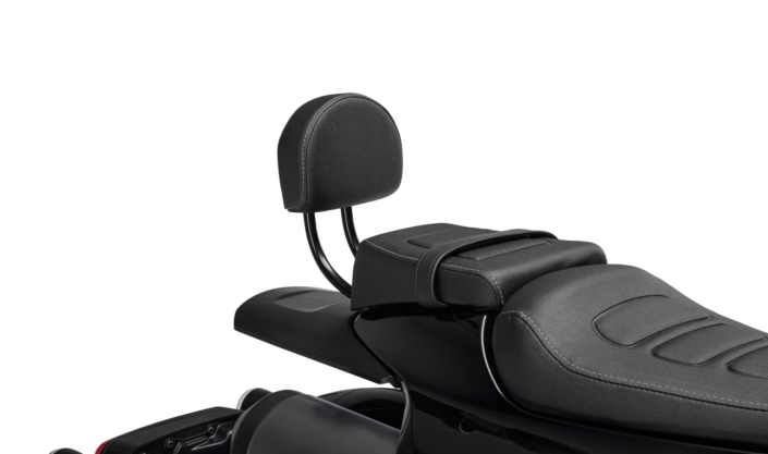 Kit de Respaldo para el Pasajero Harley-Davidson® – Sportster ...