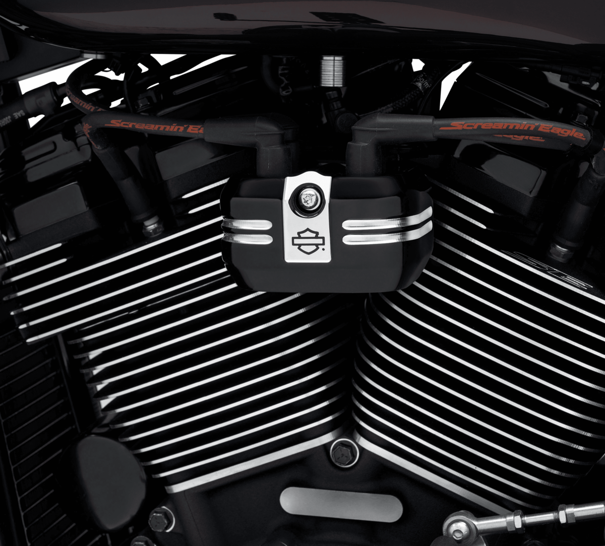 Tapa Embellecedor de Bobina Harley-Davidson® Negro Mecanizado – Softail ...